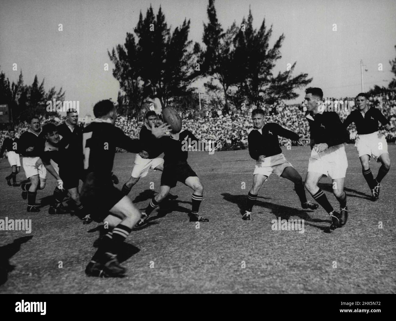 South african springboks team hi-res stock photography and images - Alamy