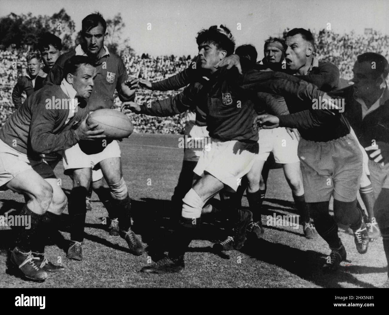Springbok rugby team photo hi-res stock photography and images - Alamy