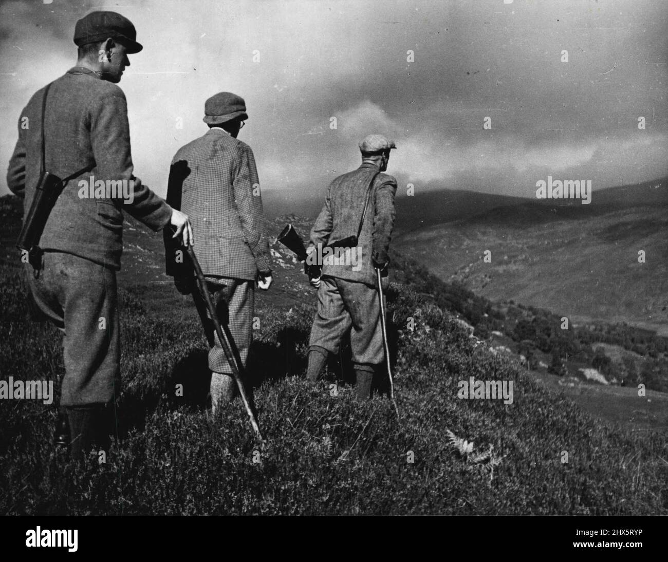 A Stag is Sighted: The Stalk Begins. Advancing cautiously upwind ...