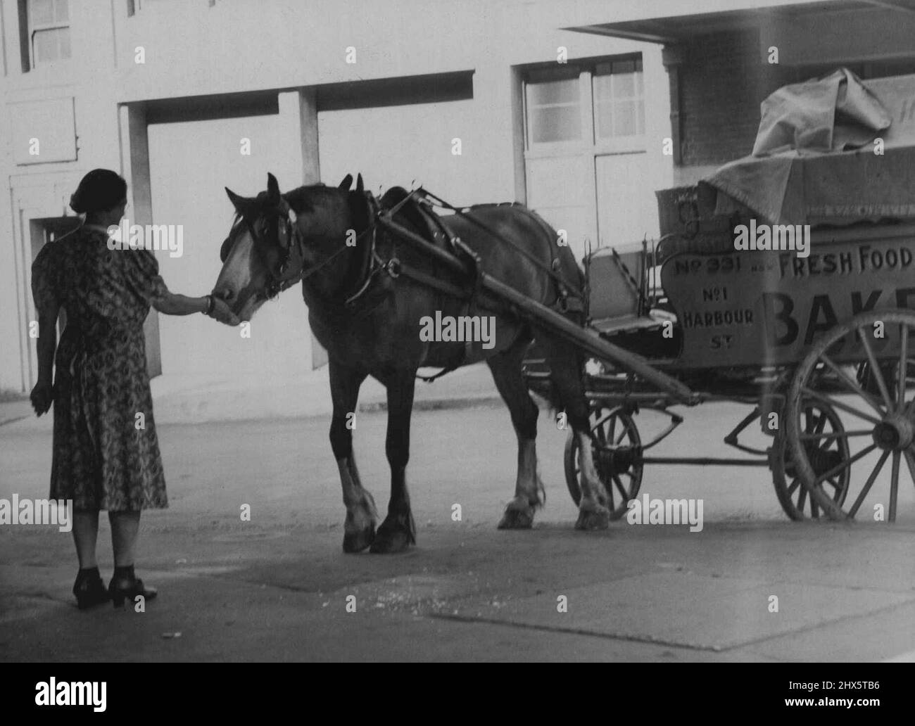 Remember the baker and his horse? February 18, 1943. (Photo by Newby ...