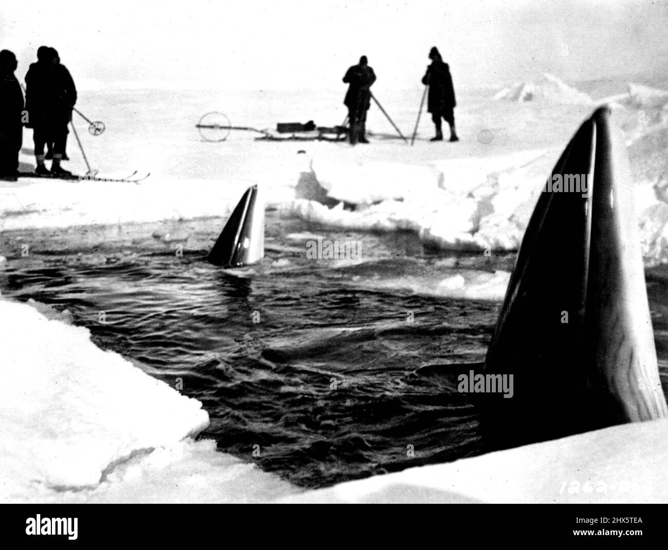 With byrd at the south pole hi-res stock photography and images - Alamy