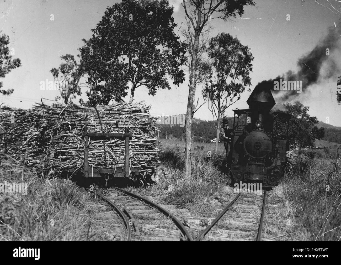 Picturesque scene in the Queensland cane ***** arrives on the narrow ...