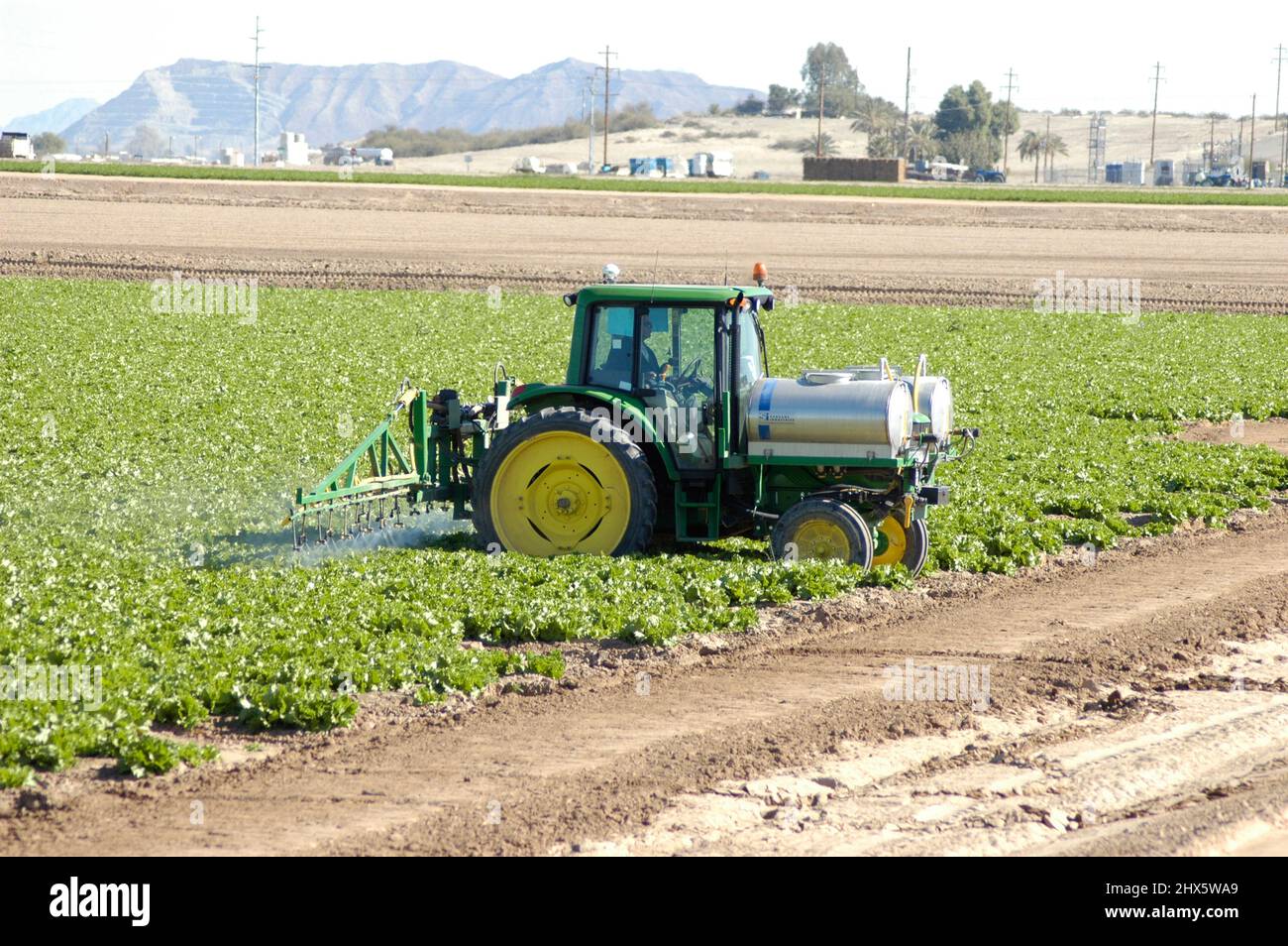 Pesticide spraying for bugs on lettuce in AZ fields on farms Stock ...