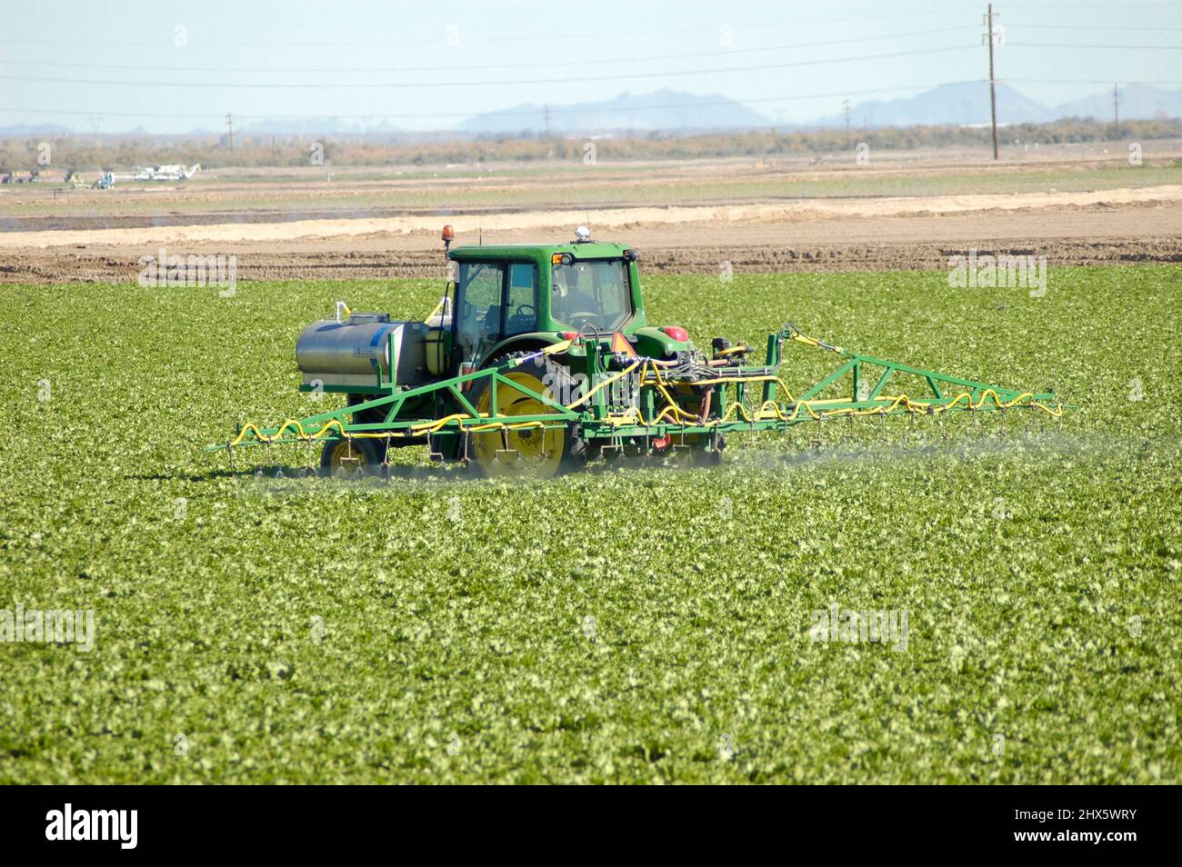 Pesticide spraying for bugs on lettuce in AZ fields on farms Stock ...