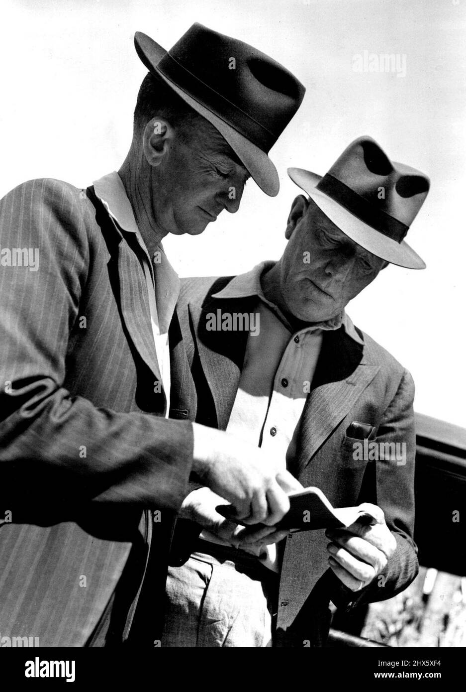 Allmond hi-res stock photography and images - Alamy