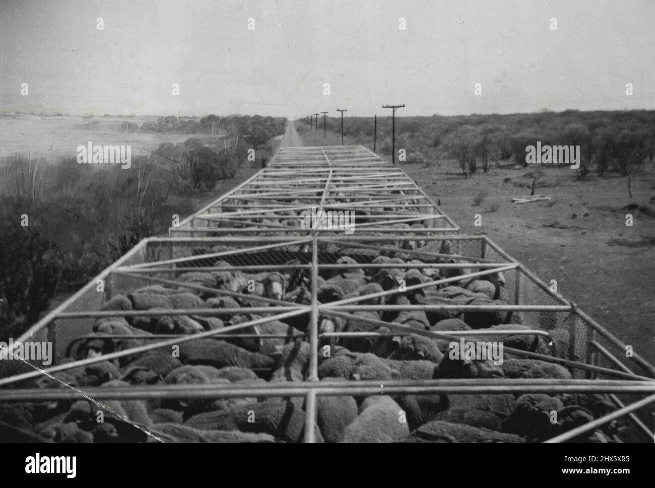 Suburban trains hi-res stock photography and images - Alamy