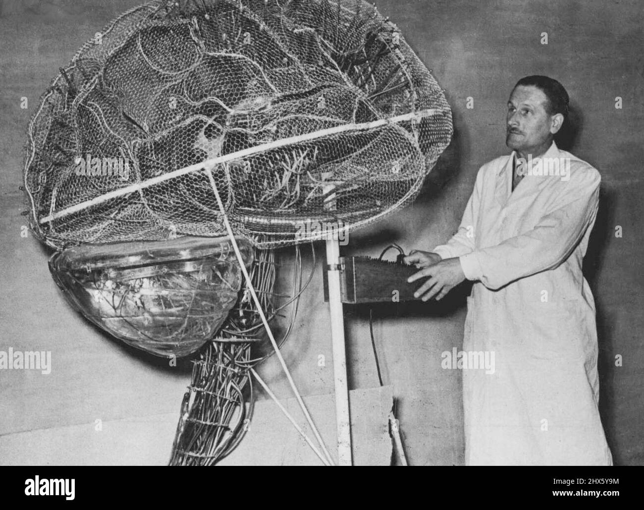 The Glass Brain Model A remarkable of the human brain - with its ...