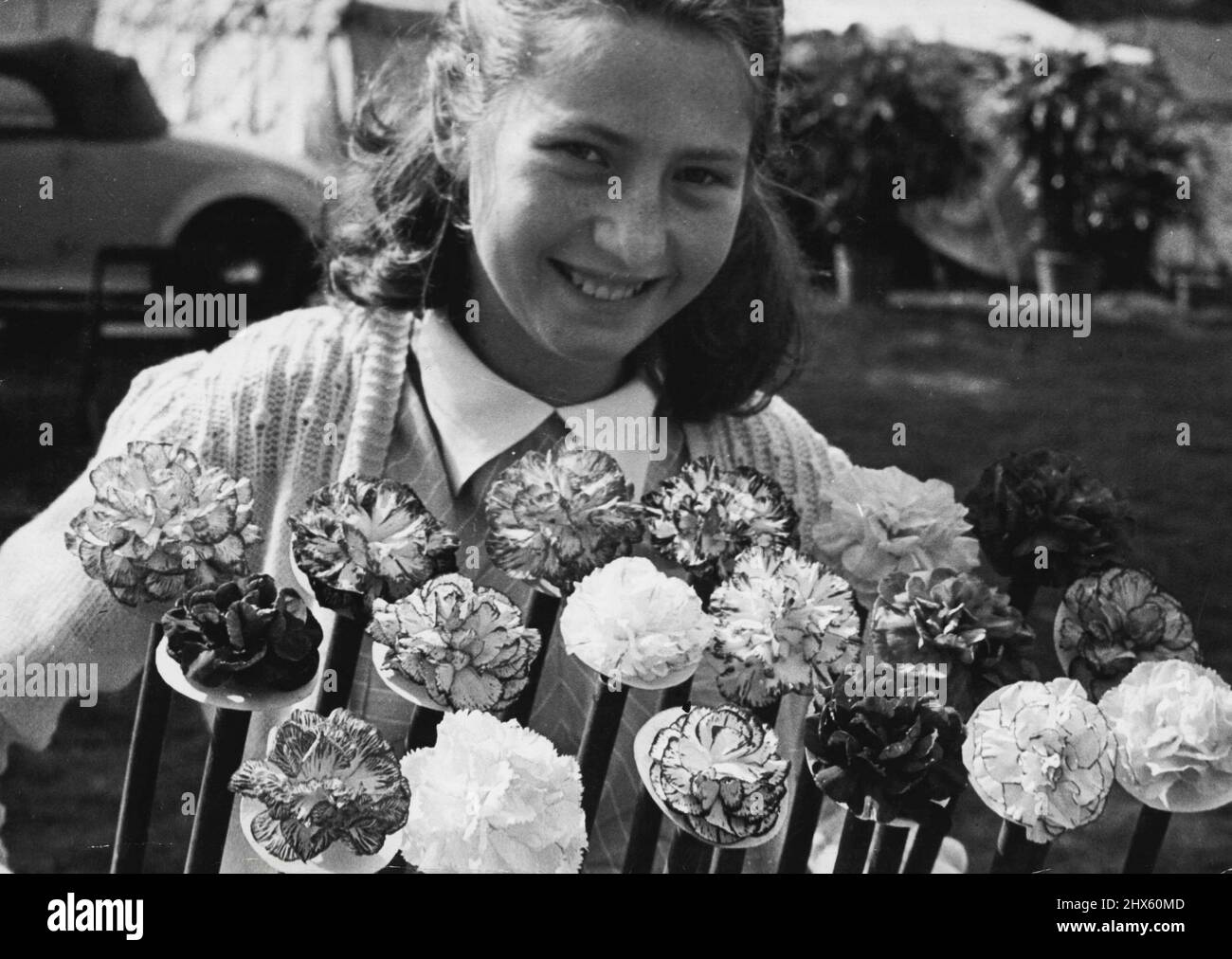 Carnations chelsea flower show hi-res stock photography and images - Alamy
