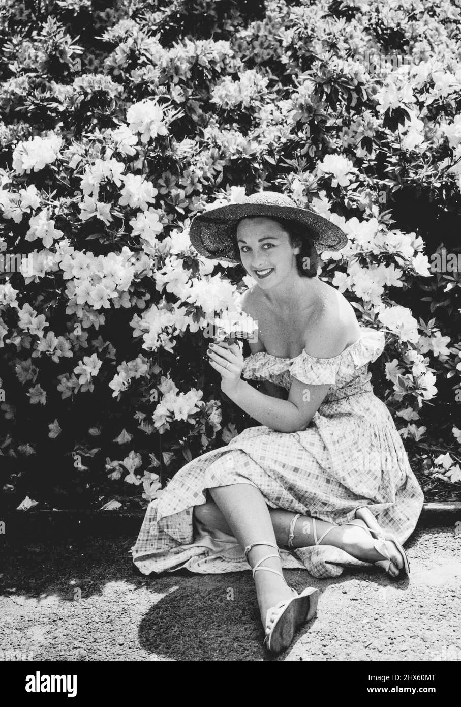 Nostalgic flower Black and White Stock Photos & Images - Alamy