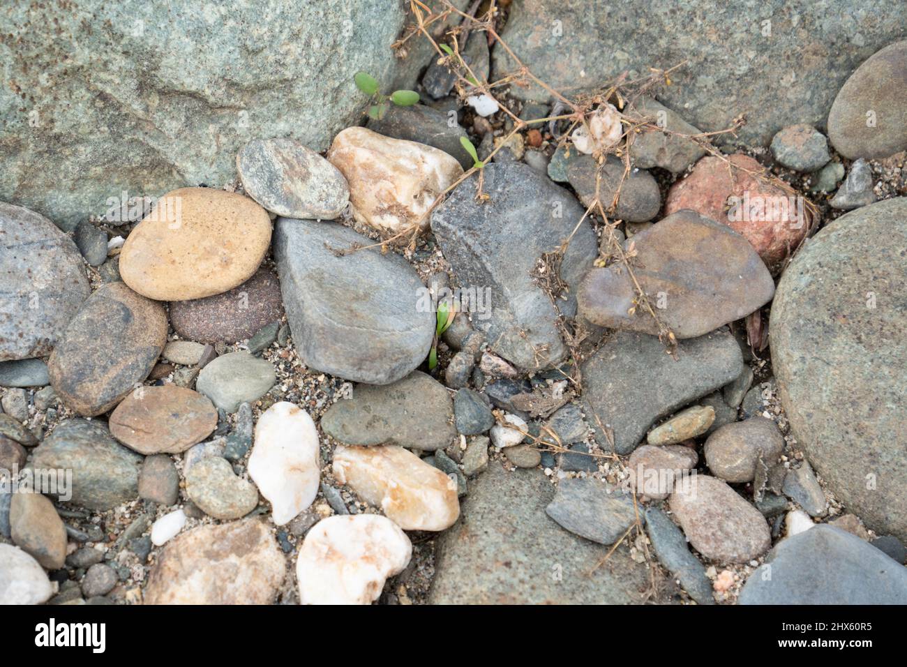natural river rock background with quartz and granite Stock Photo - Alamy