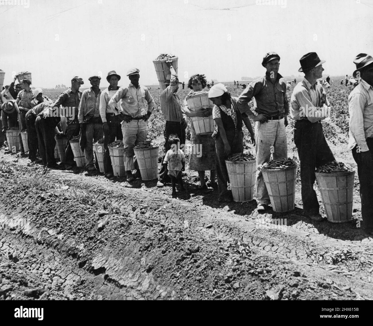 American People File 1 - People. November 26, 1951.;American People ...