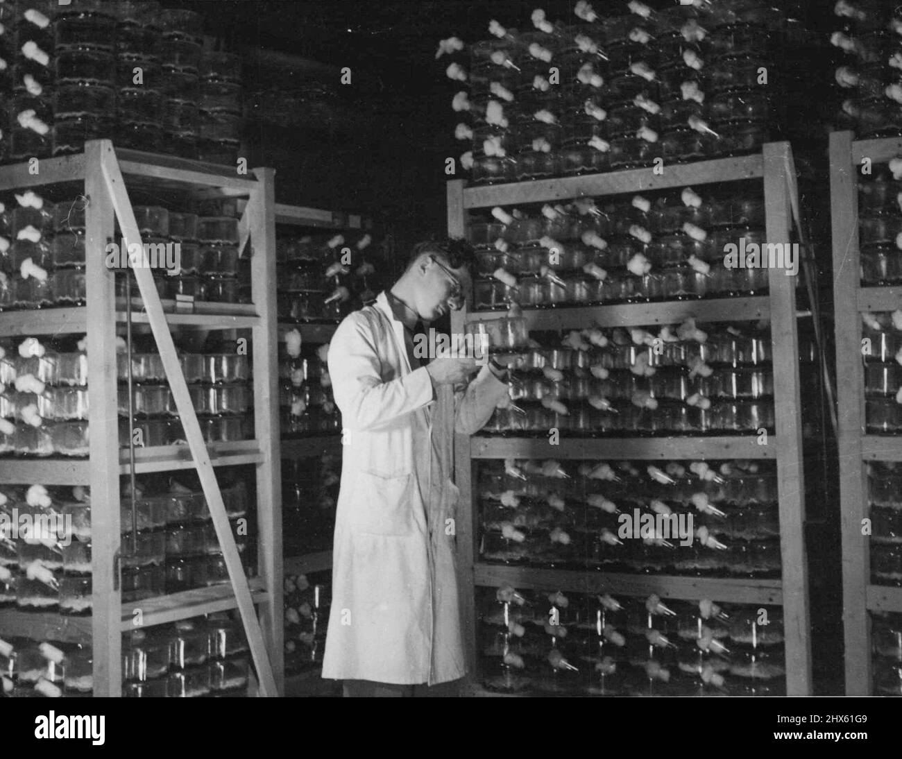 Penicillin 1920