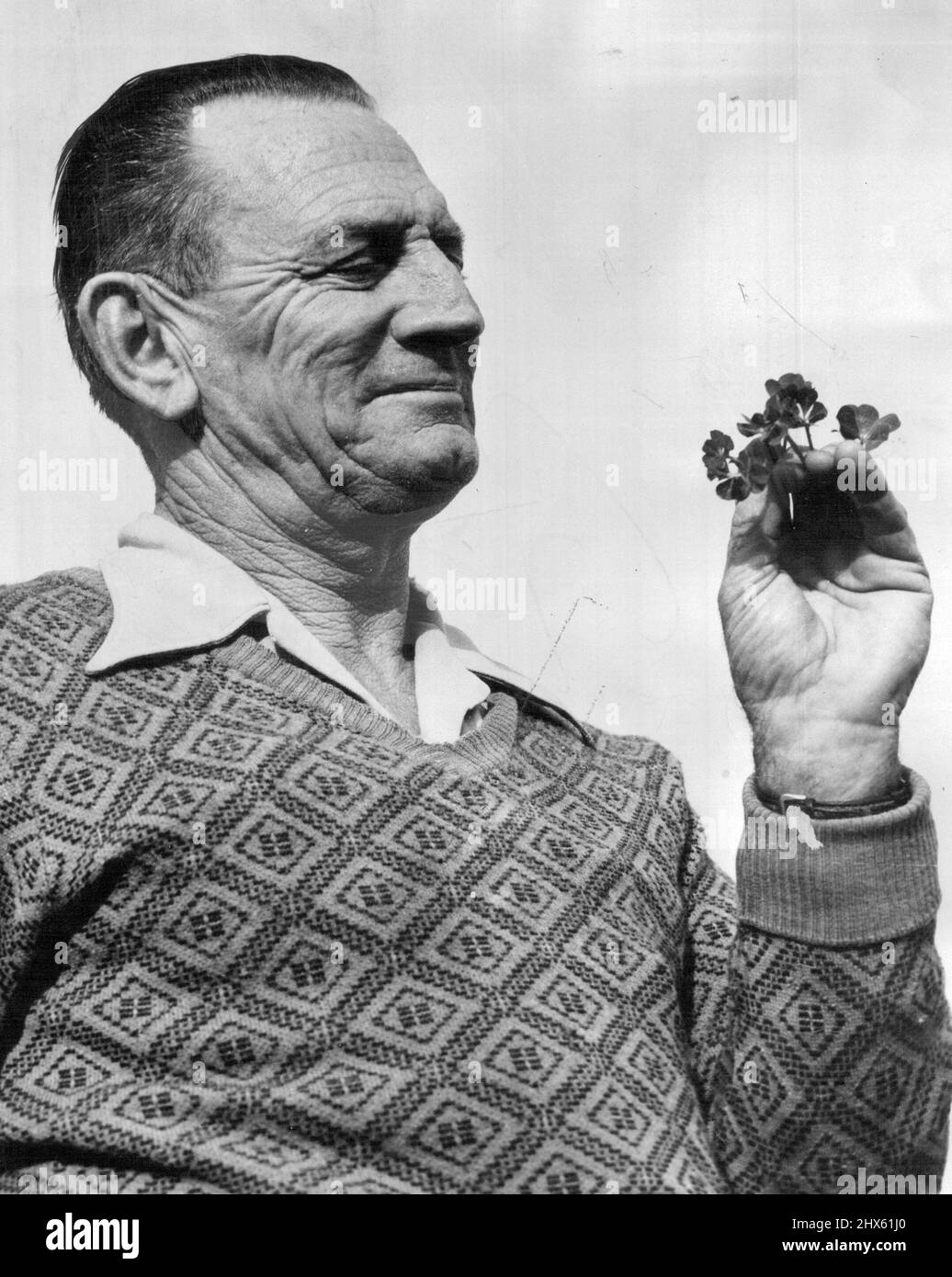 Guest Star was immediately labelled "Cup Chance" and well he should be ...