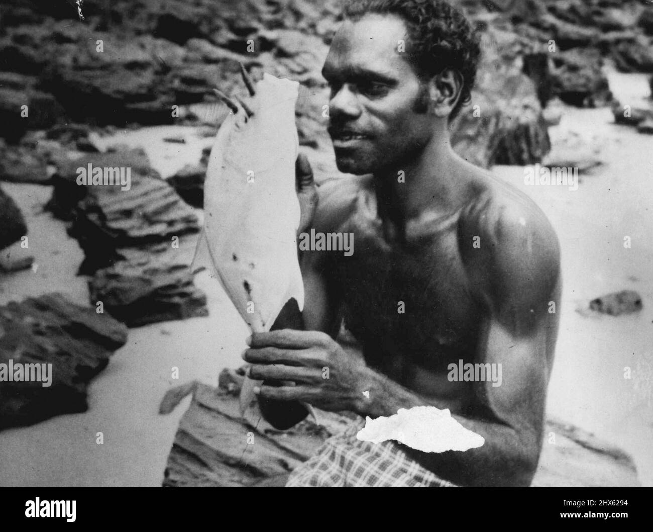 A Melville Islander with a rock fish he has Just Speared. May 11, 1955 ...