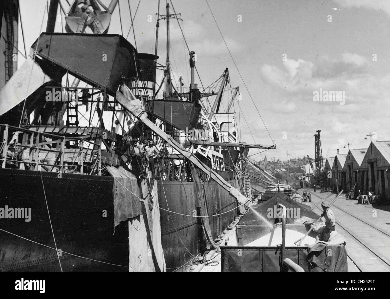 Rocky mountains Park at (glebe island wharf 9,200 ton of bulk wheal ...
