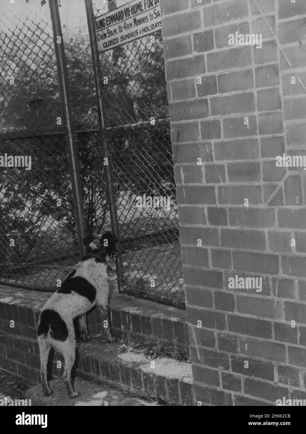 Yagoona hi-res stock photography and images - Alamy