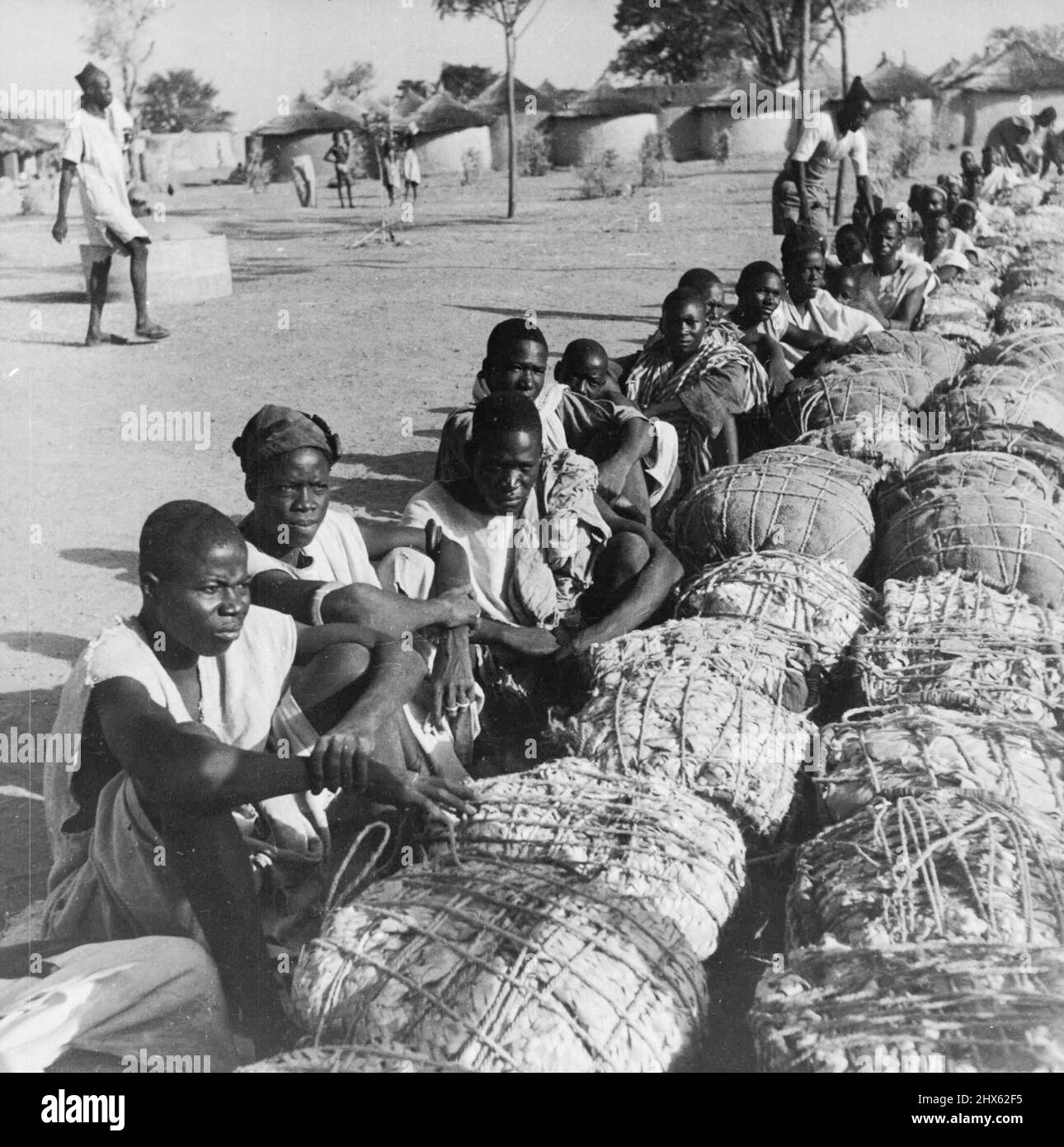 Kolas hi-res stock photography and images - Alamy