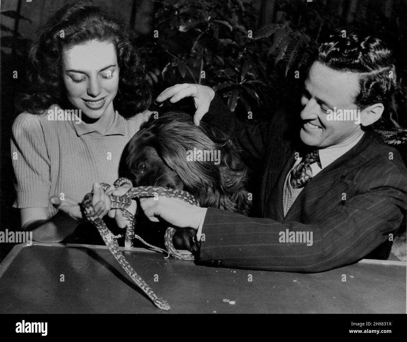 Miss Carol Hawkins Paddy their 5yrs old dog & Eric Worrell of ***** in ...