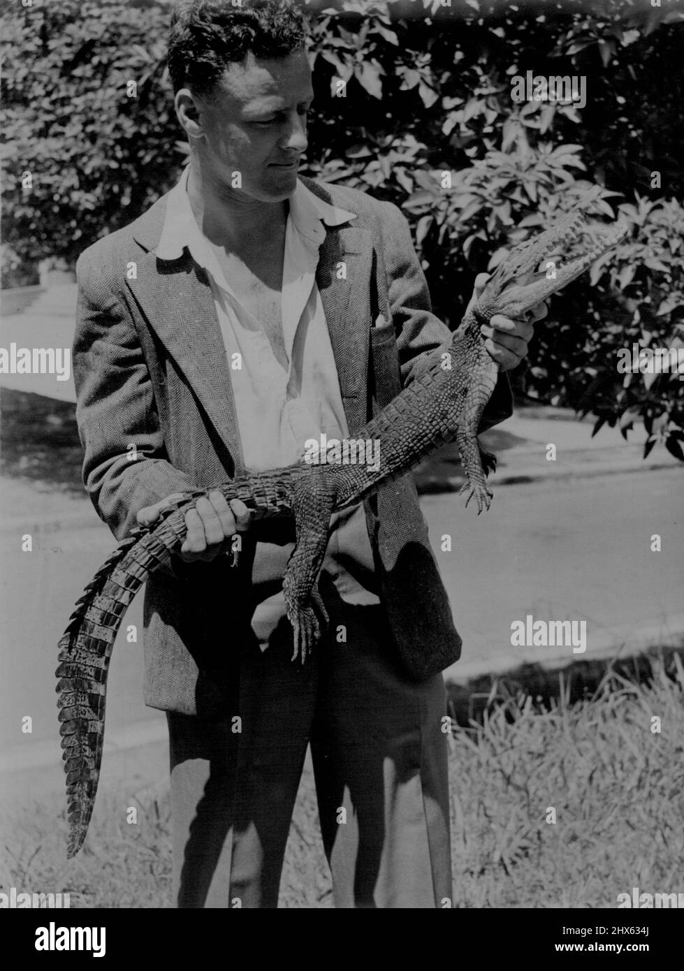 Sydney snakes Black and White Stock Photos & Images - Alamy