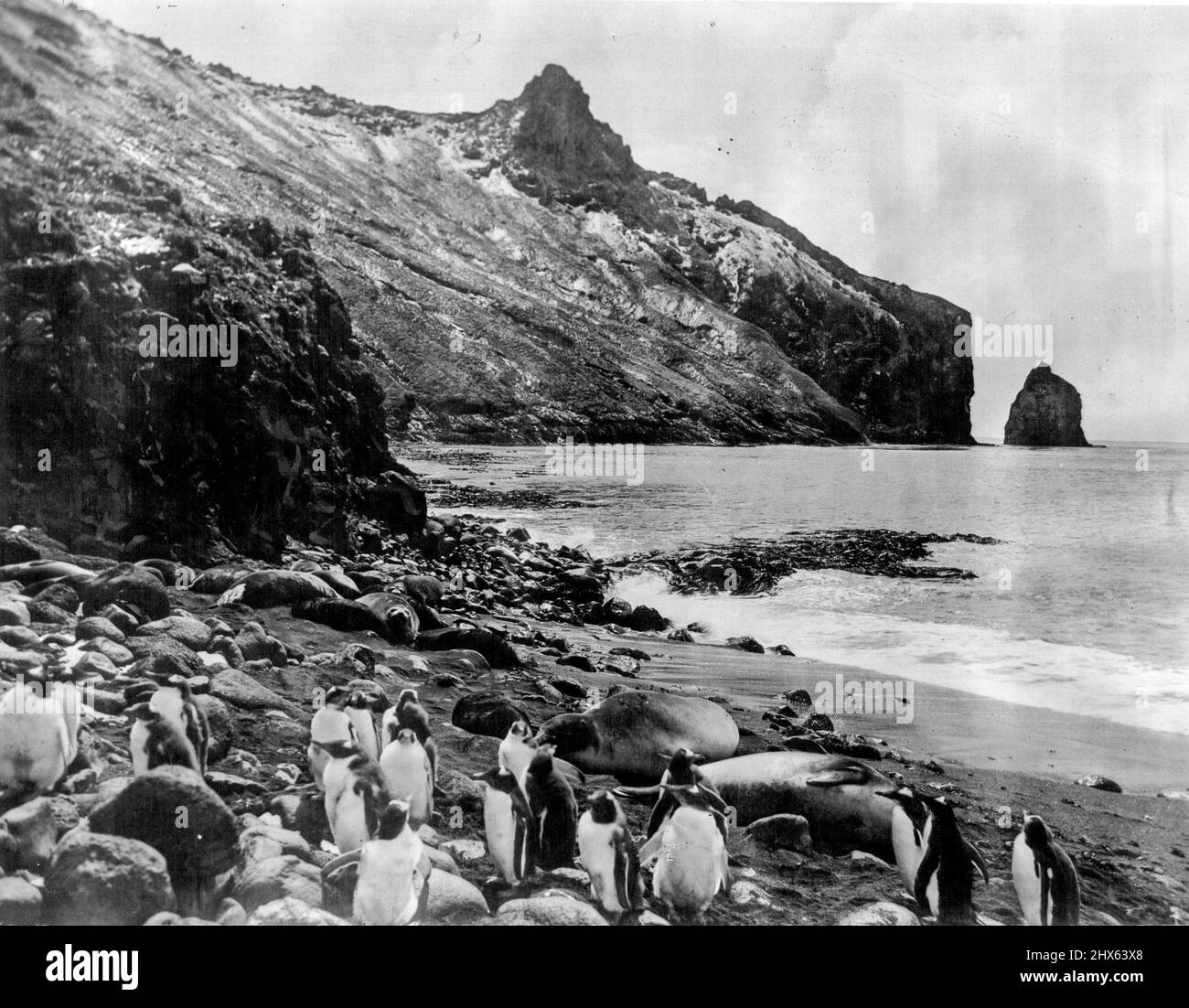 Expedition group snow Black and White Stock Photos & Images - Alamy