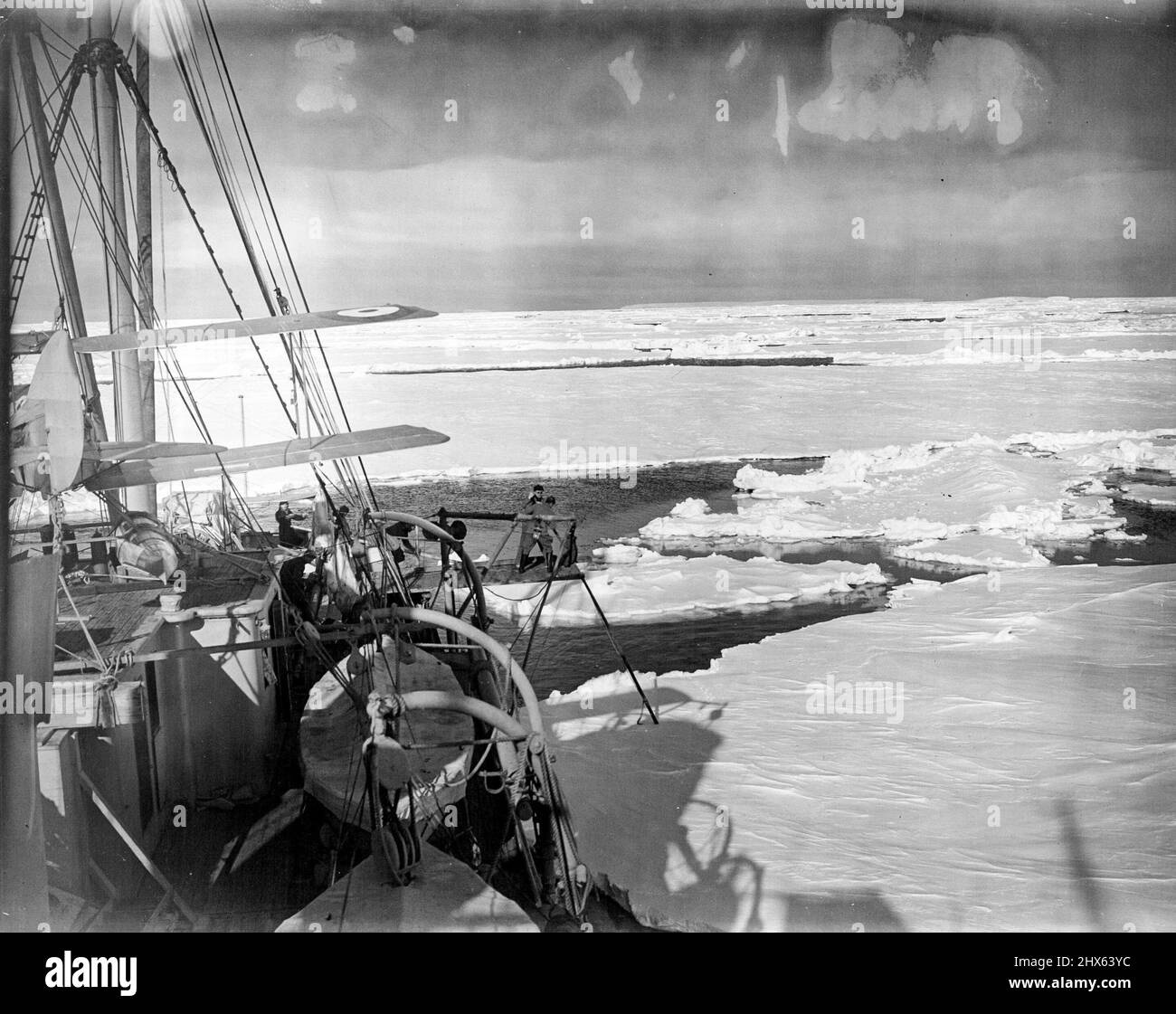 Pushing Aside great ice floes the Discovery II. made her way into the ...