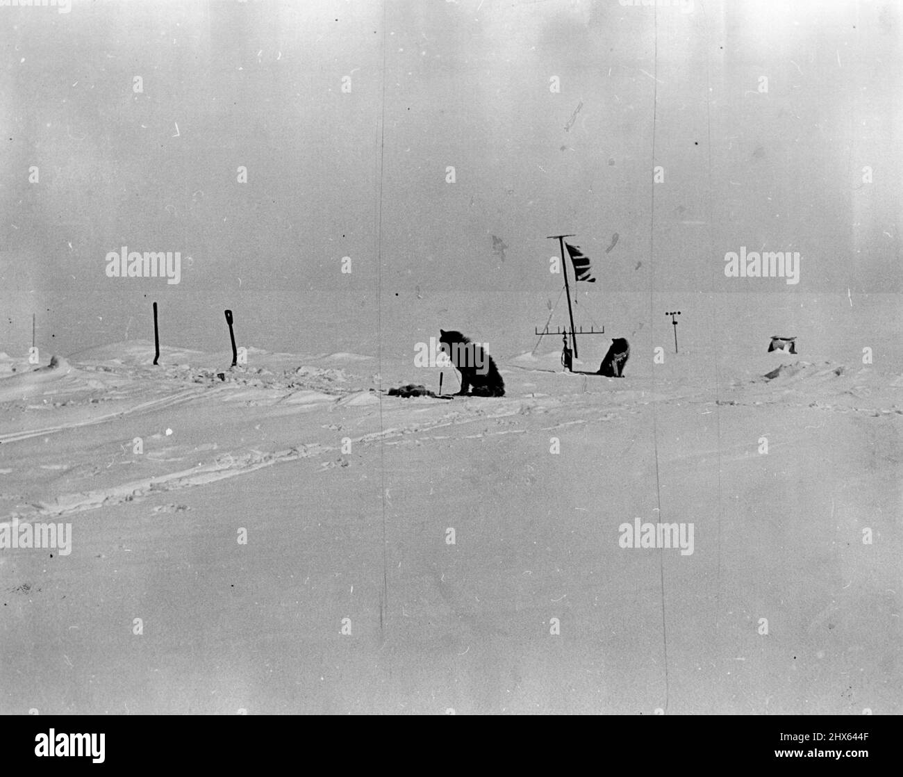 Chapman expedition hi-res stock photography and images - Alamy