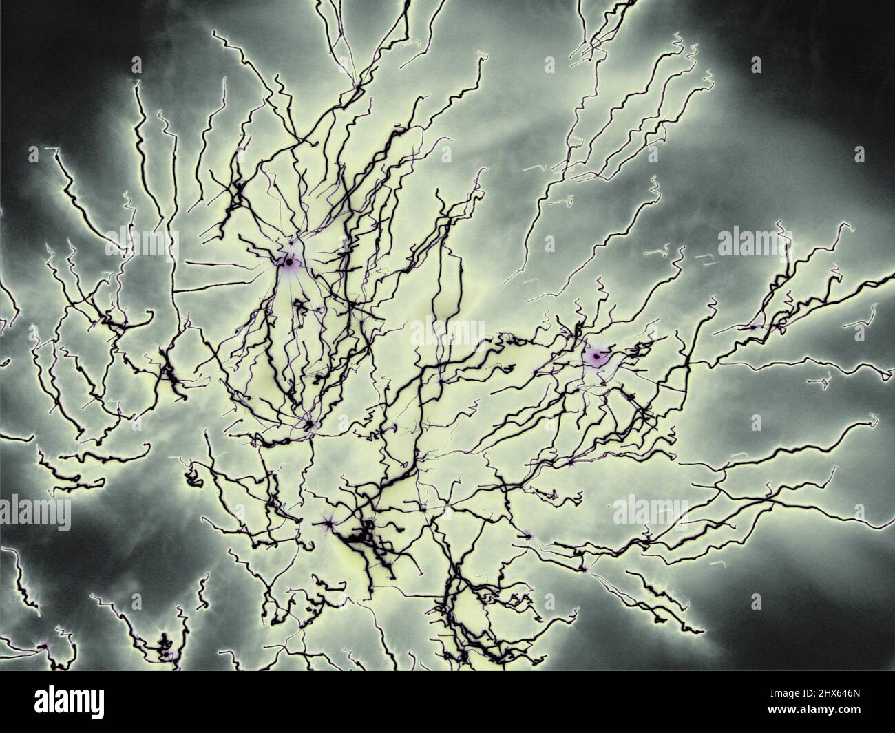 Colourfull Psychedelic Firework evokes electric shocks and voltages ...