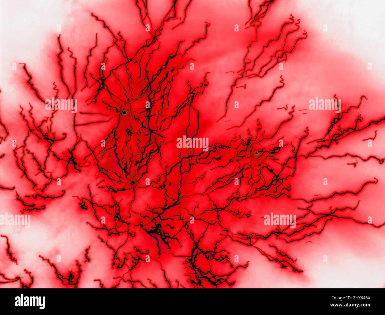 Colourfull Psychedelic Firework evokes electric shocks and voltages ...