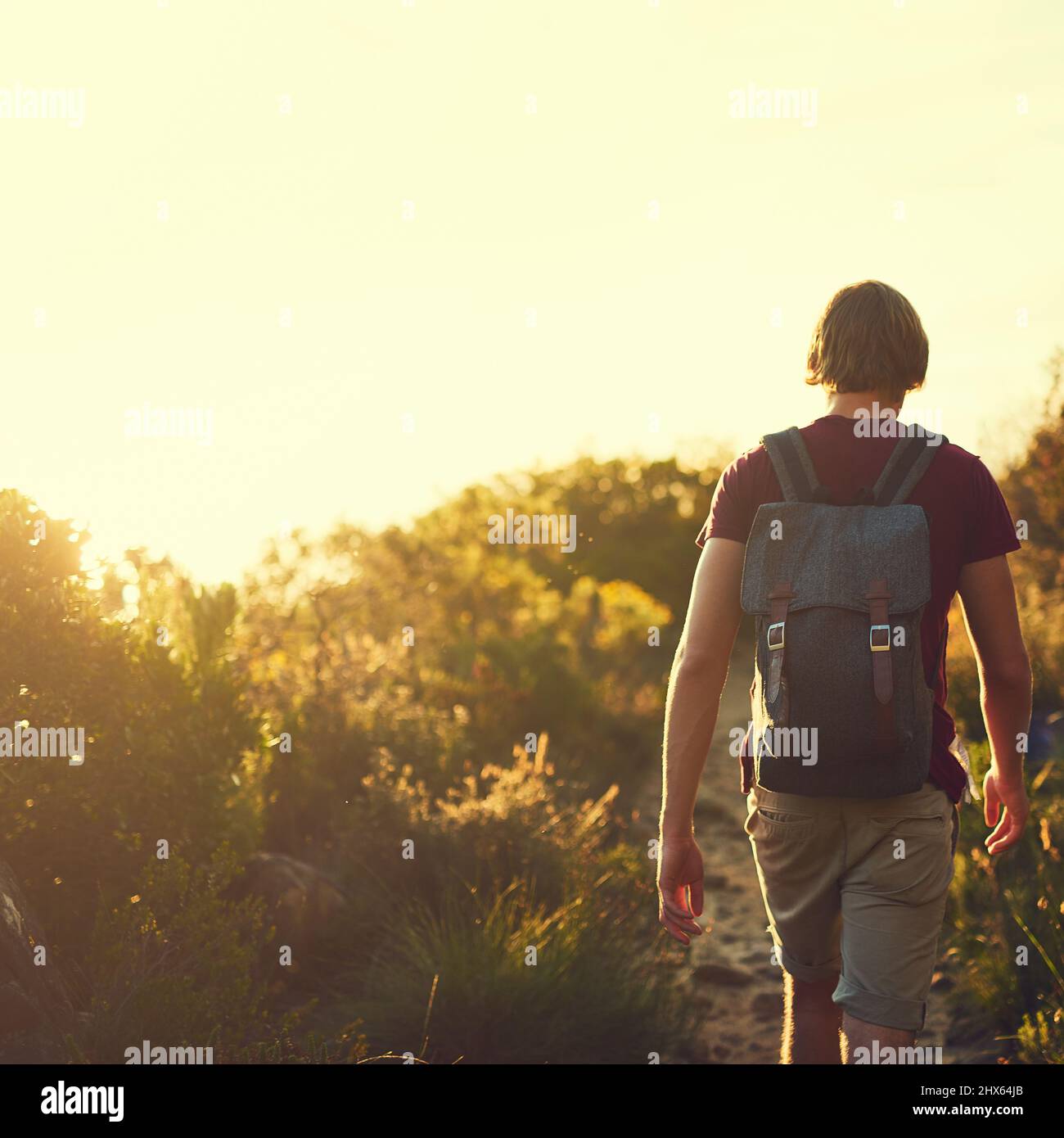 Man walking on a bush trail hi-res stock photography and images - Alamy