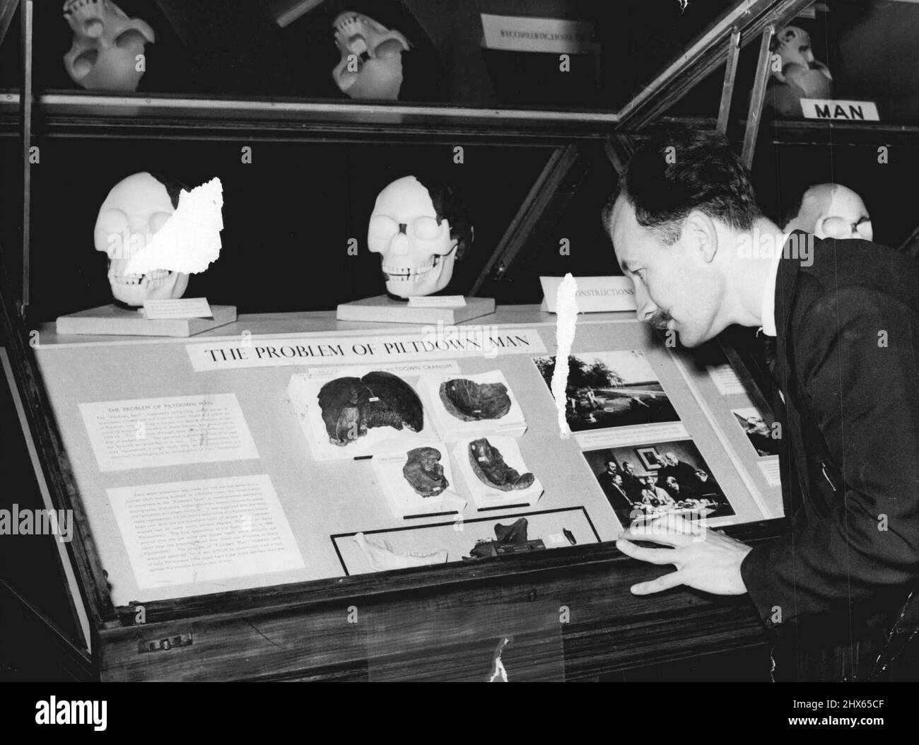 Piltdown Hoax On View -- The original piltdown remains on display at ...