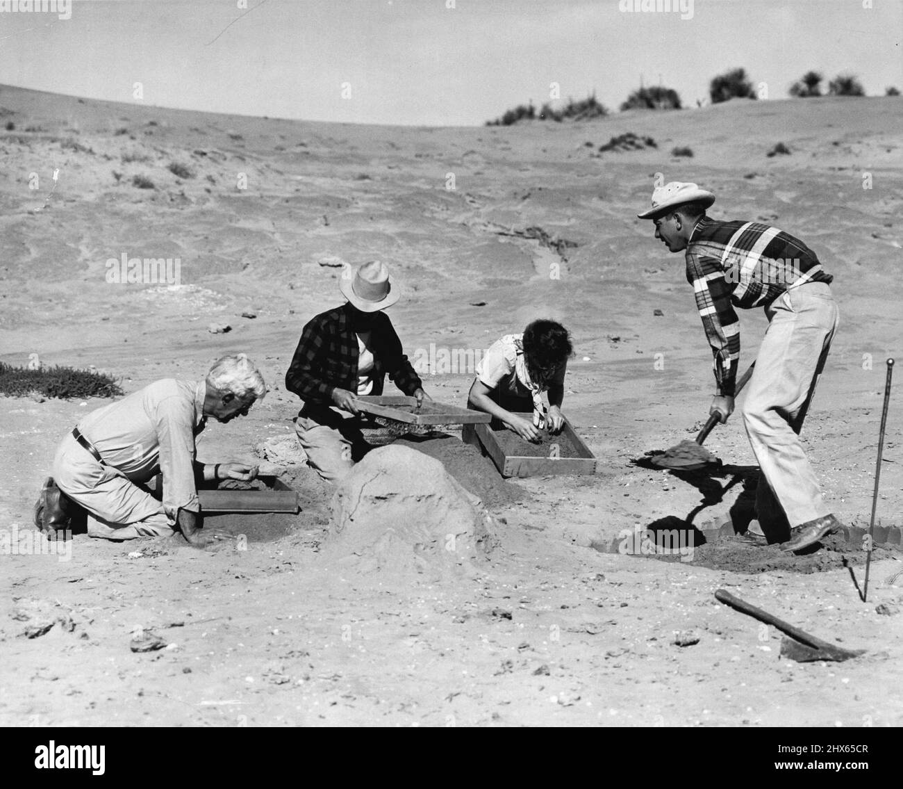 Mr fred skull Black and White Stock Photos & Images - Alamy