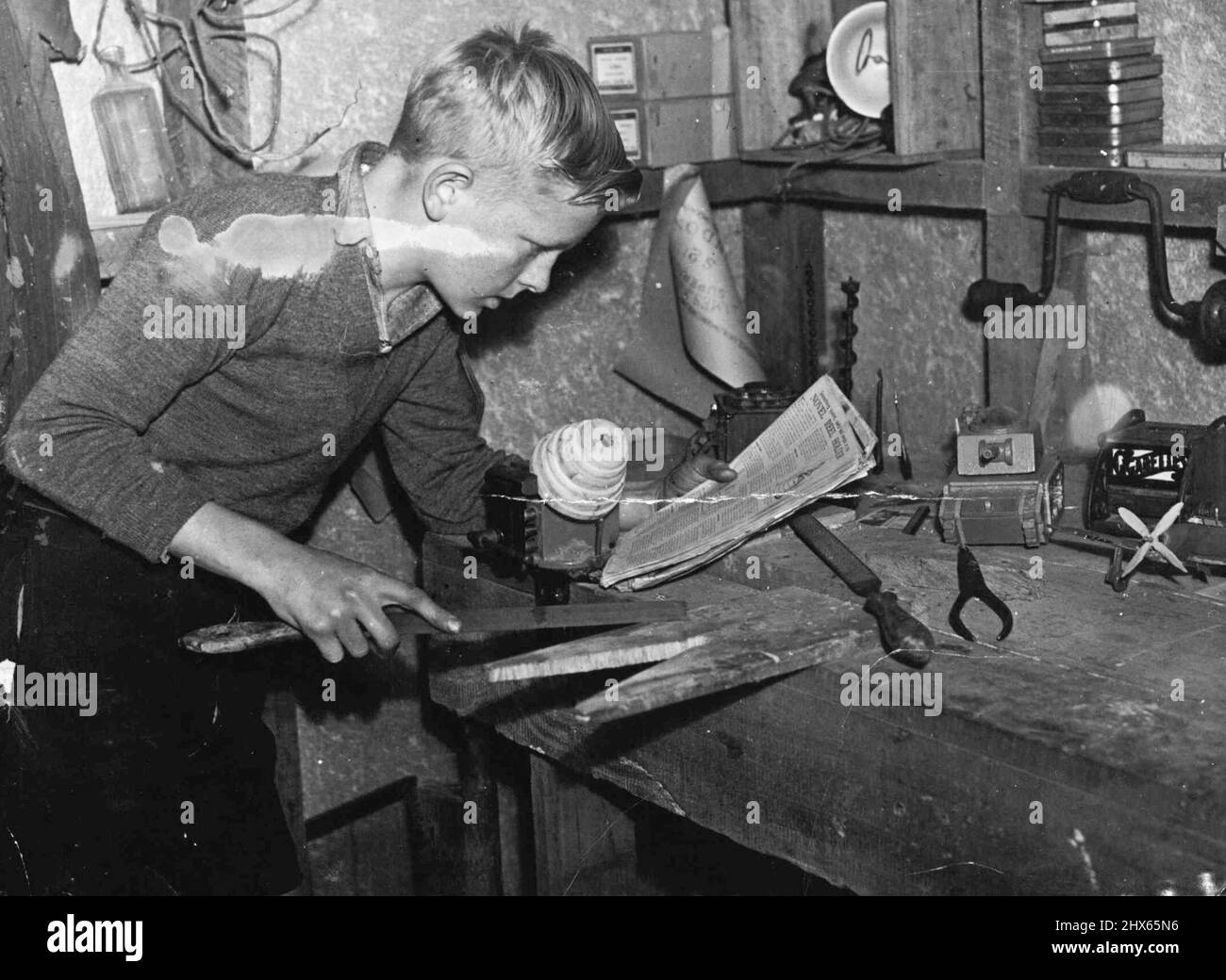 Donald bull hi-res stock photography and images - Alamy