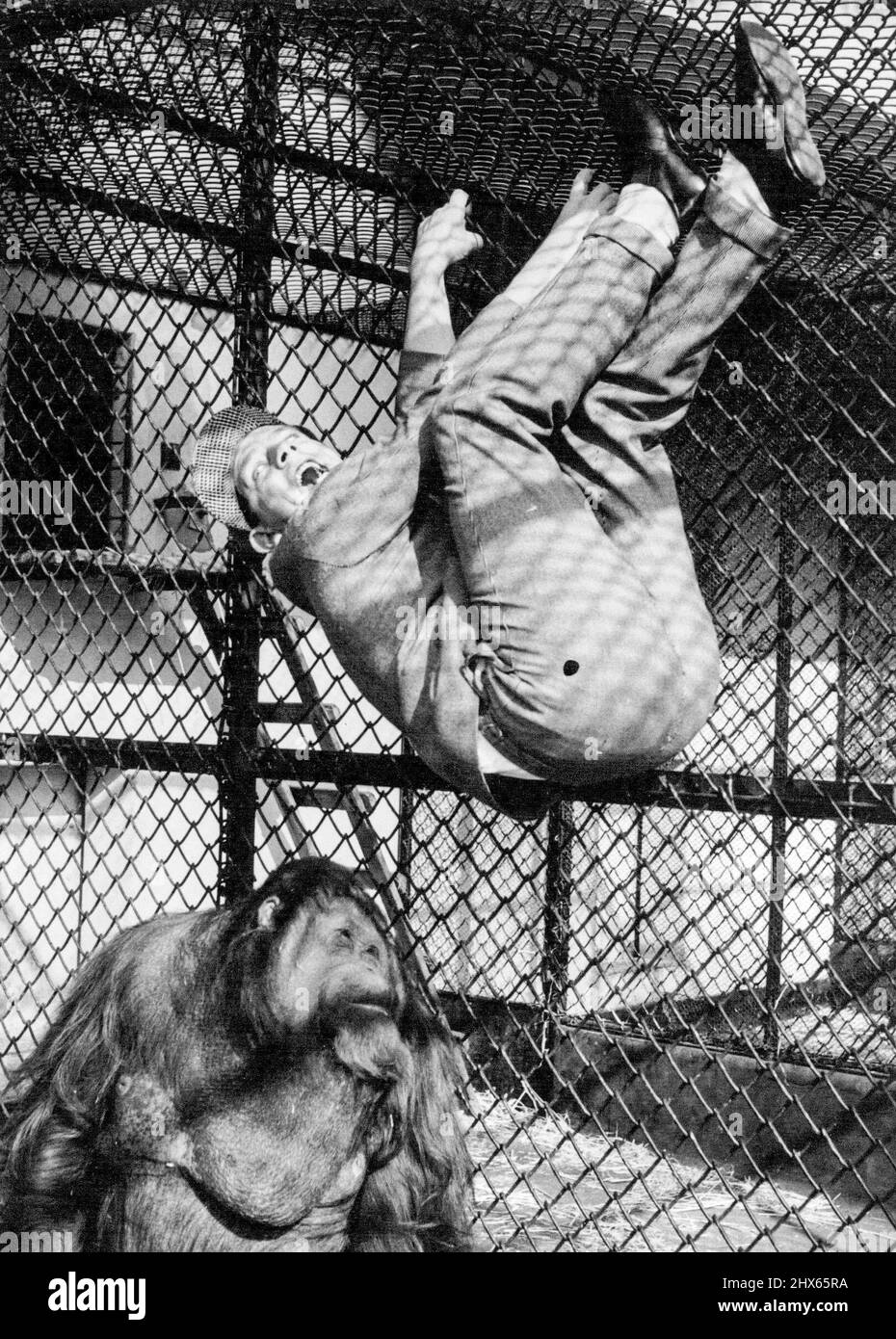 "Try this stunt," shouts Norman. No smile from Mr. Jigge. only comment ...