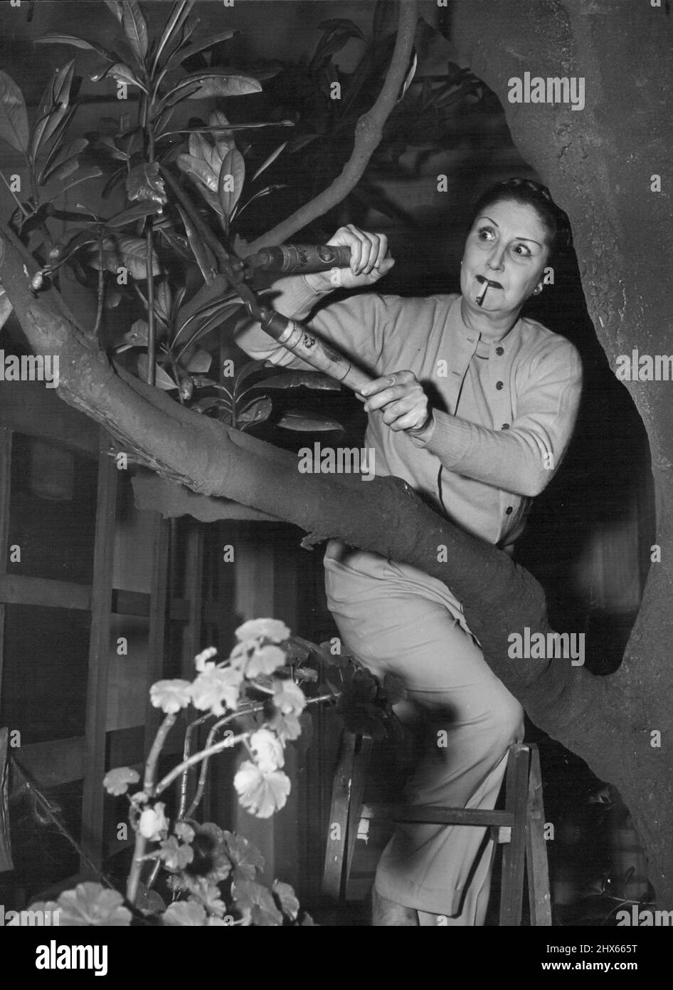 Men women in flower Black and White Stock Photos & Images - Alamy