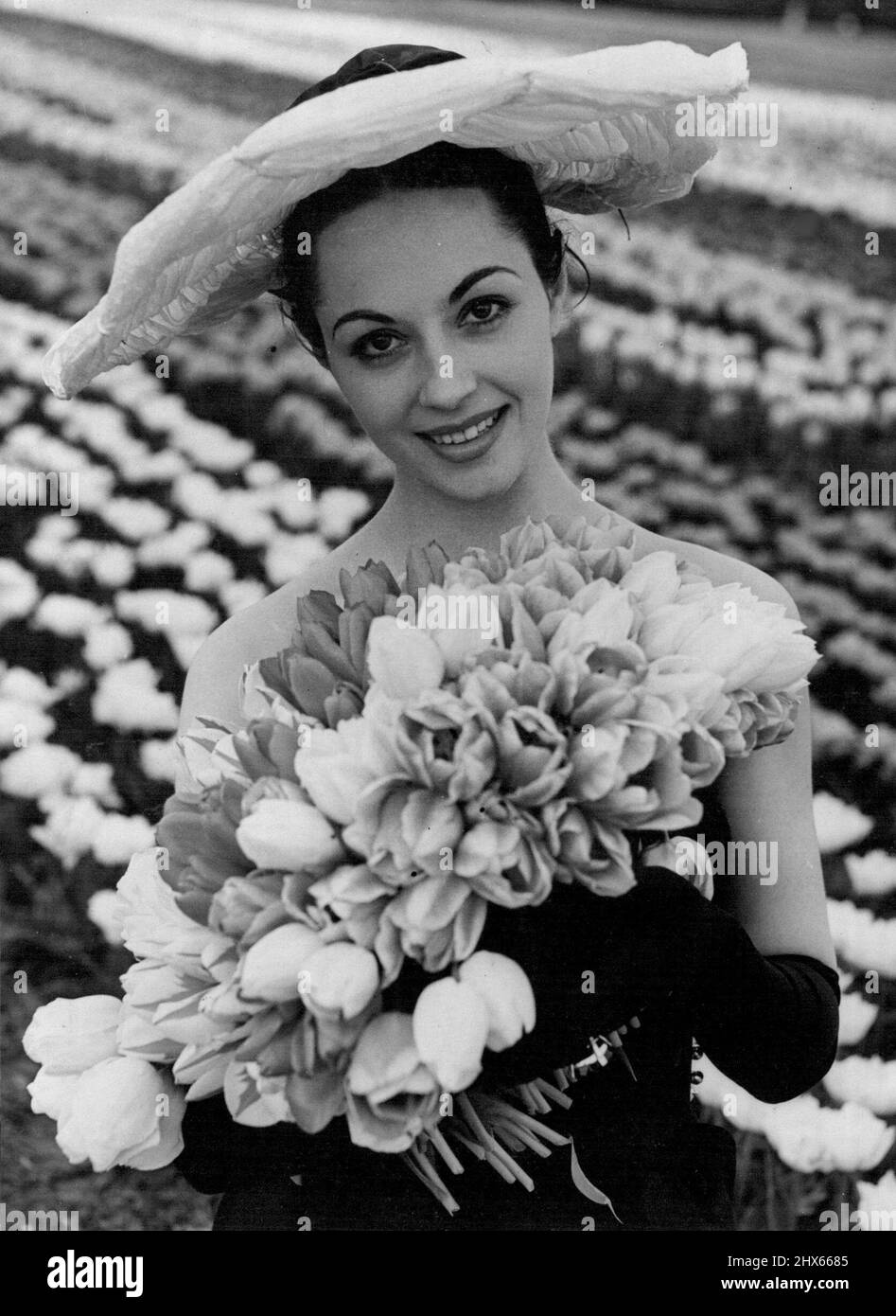 Dana wynter hi-res stock photography and images - Alamy