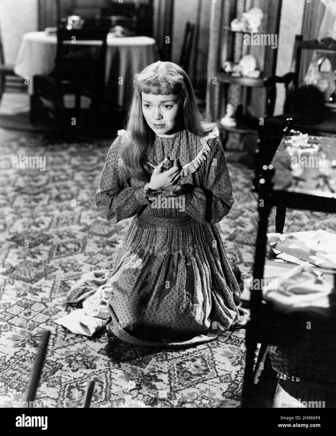 Jane Warner High Resolution Stock Photography and Images - Alamy