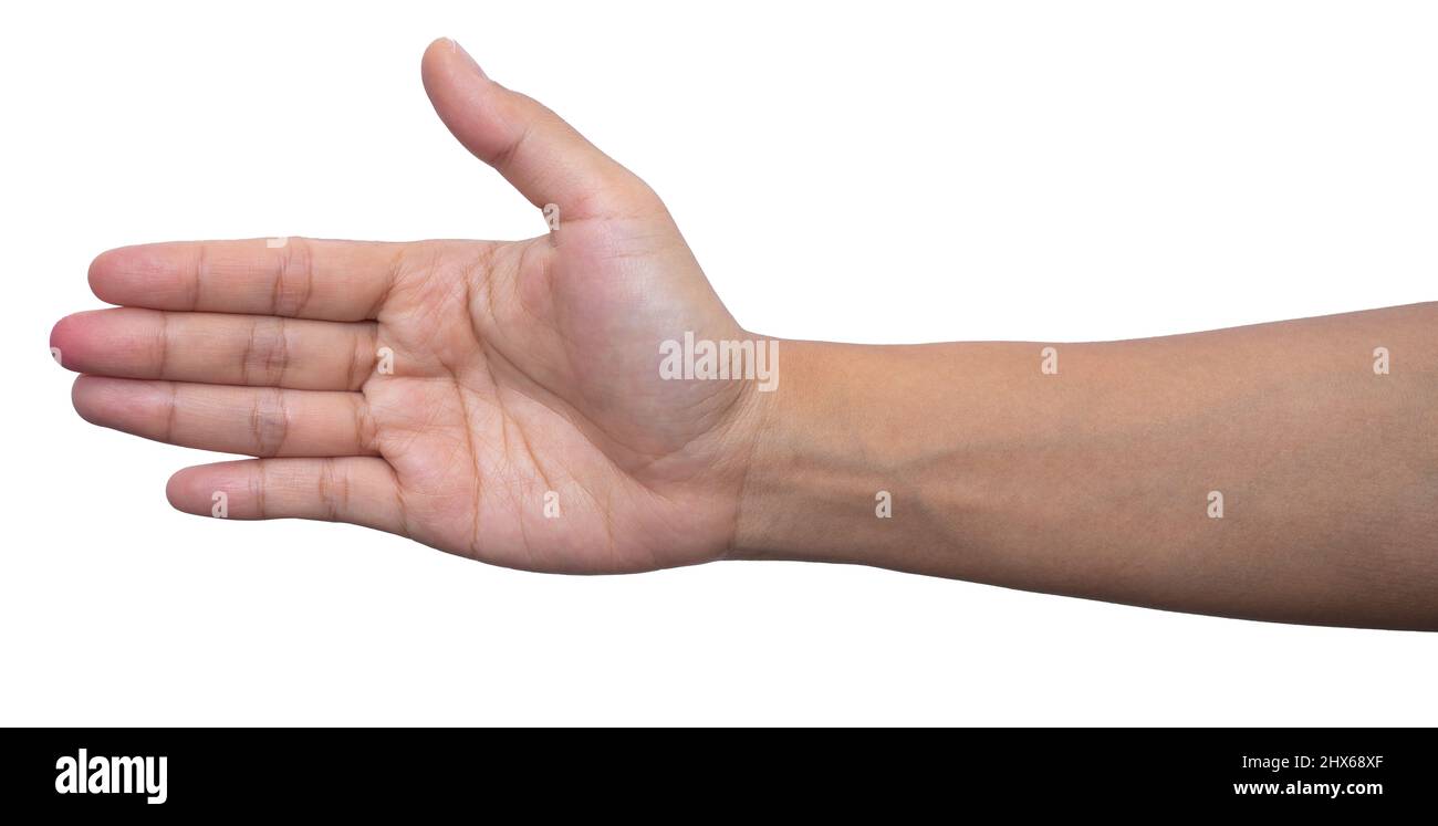 hand and showing 5 fingers gesture isolate Stock Photo - Alamy