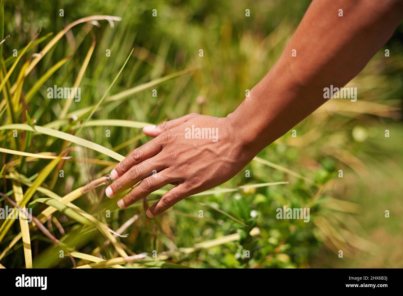 Touch grass hi-res stock photography and images - Alamy