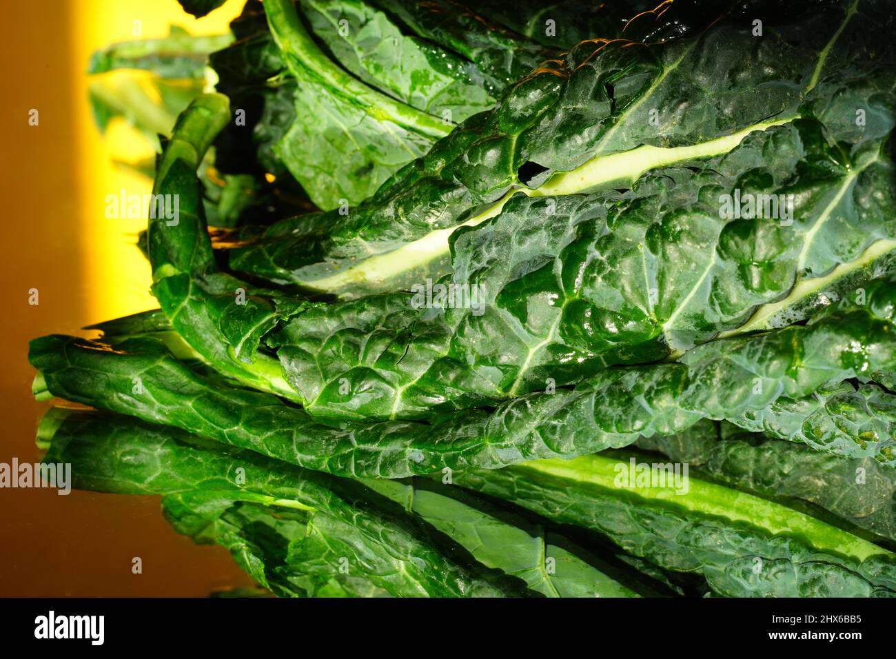 Close-up view of the texture of lacinato kale (dinosaur kale) leaves ...