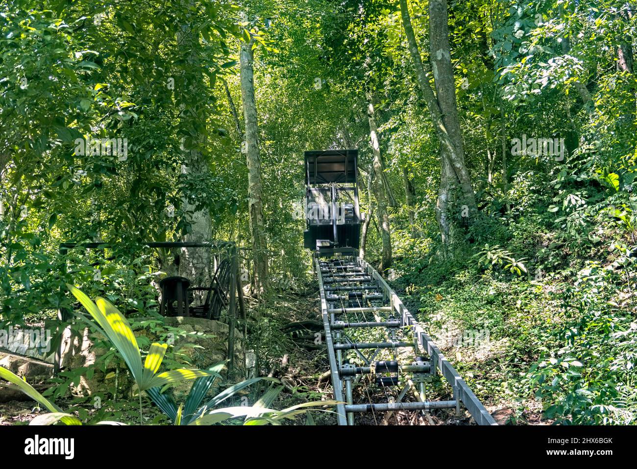 Funicular in the jungle, El Remate, Petén, Guatemala Stock Photo - Alamy