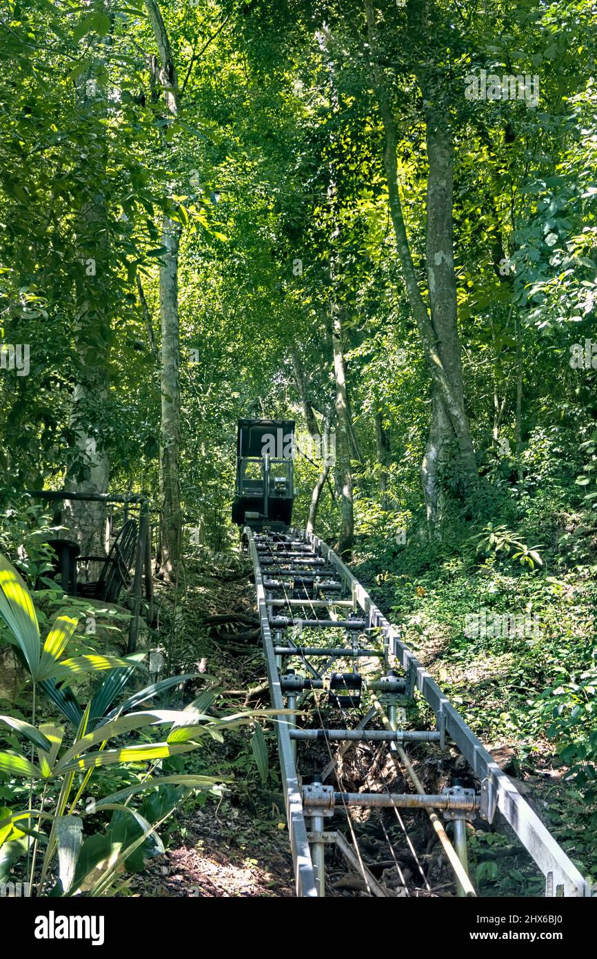 Funicular in the jungle, El Remate, Petén, Guatemala Stock Photo - Alamy