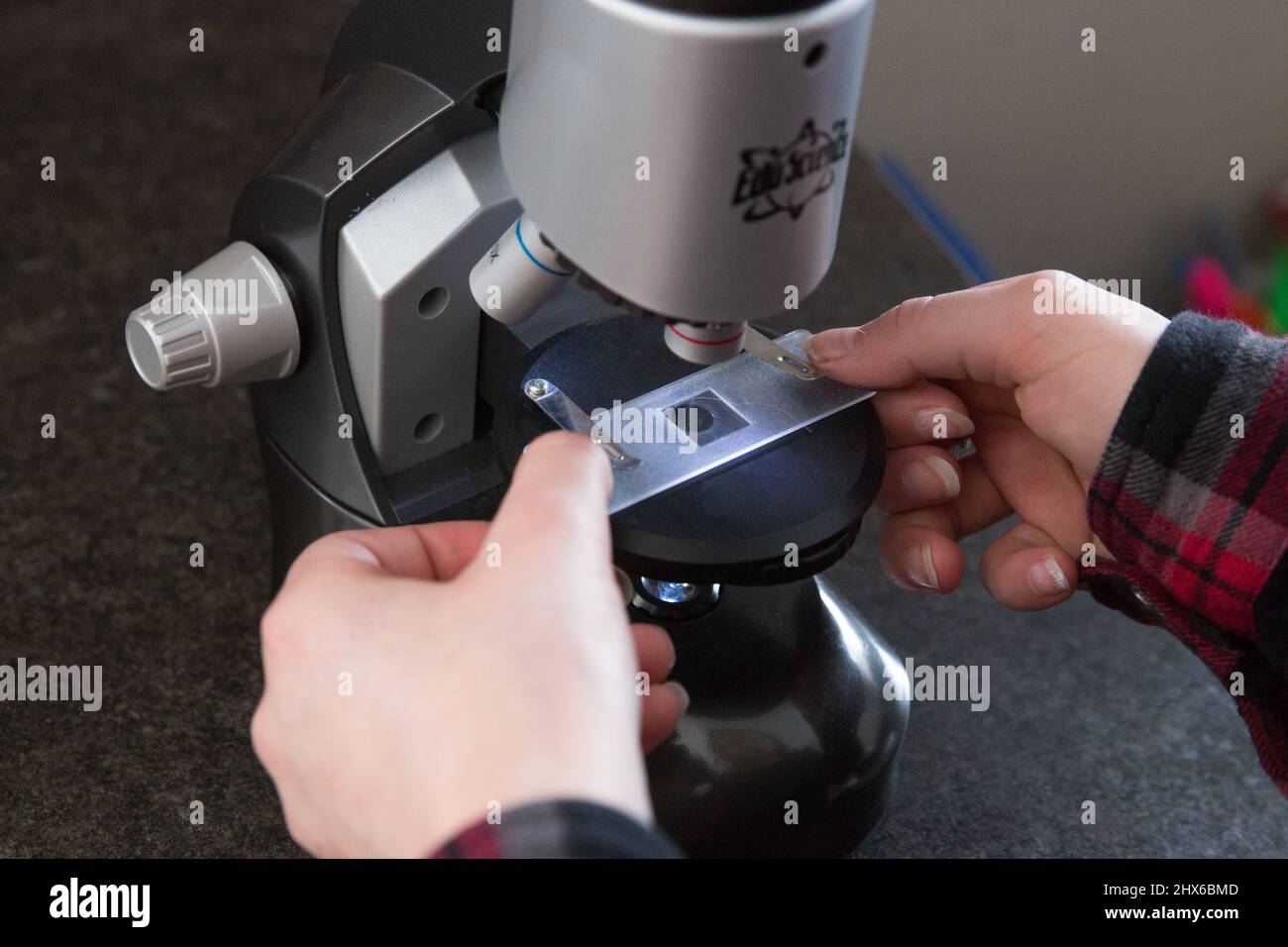 Child studying science with a microscope Stock Photo - Alamy
