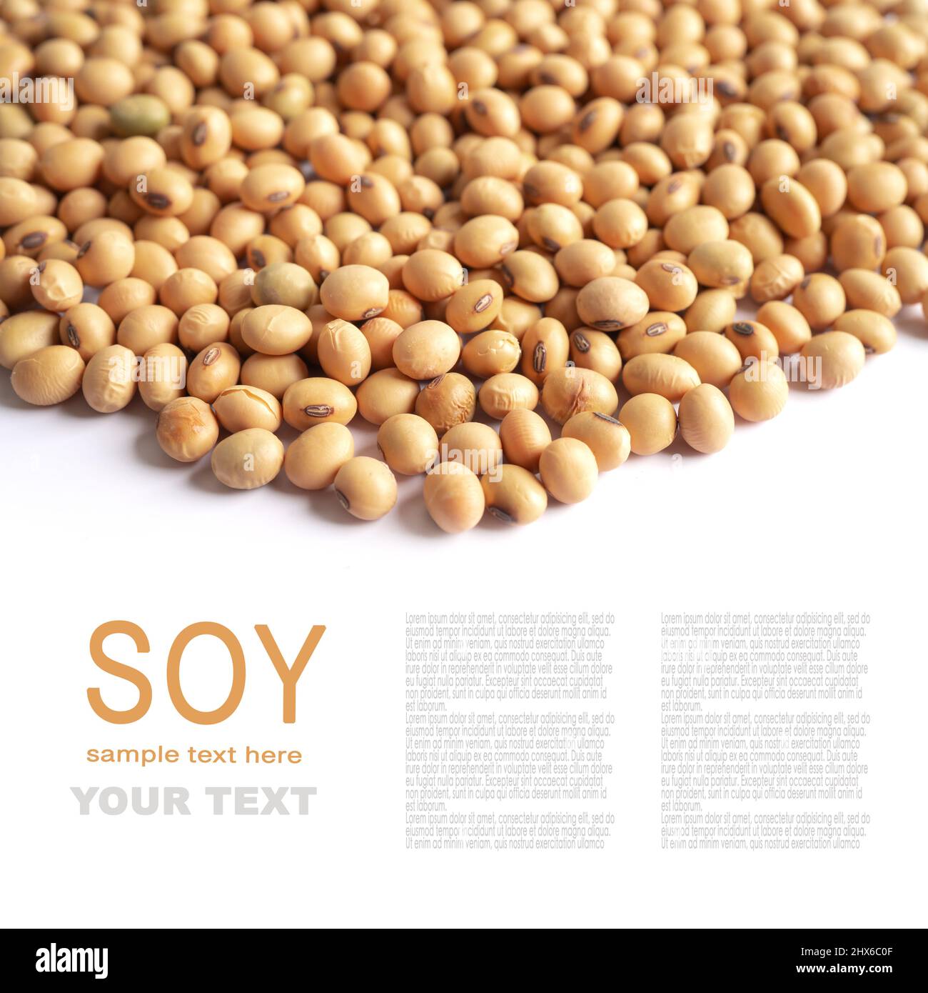 Soybean Whole