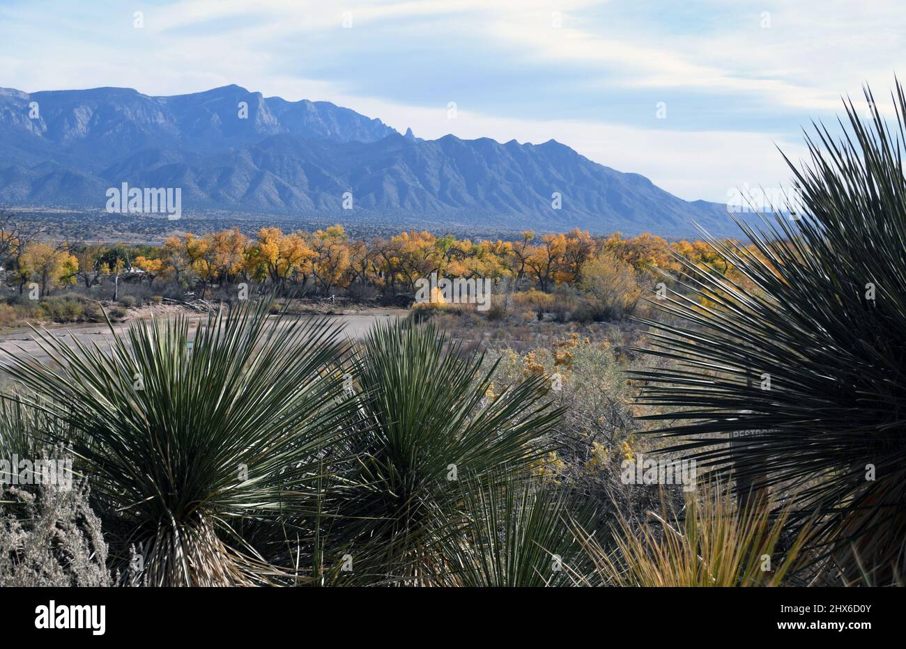 Fall Color along the Rio Grande River in late October Stock Photo - Alamy