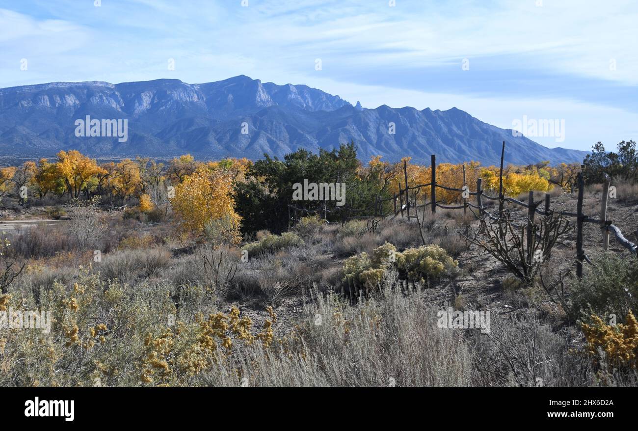 Rural Fence along the Rio grande River in late fall with the orange ...