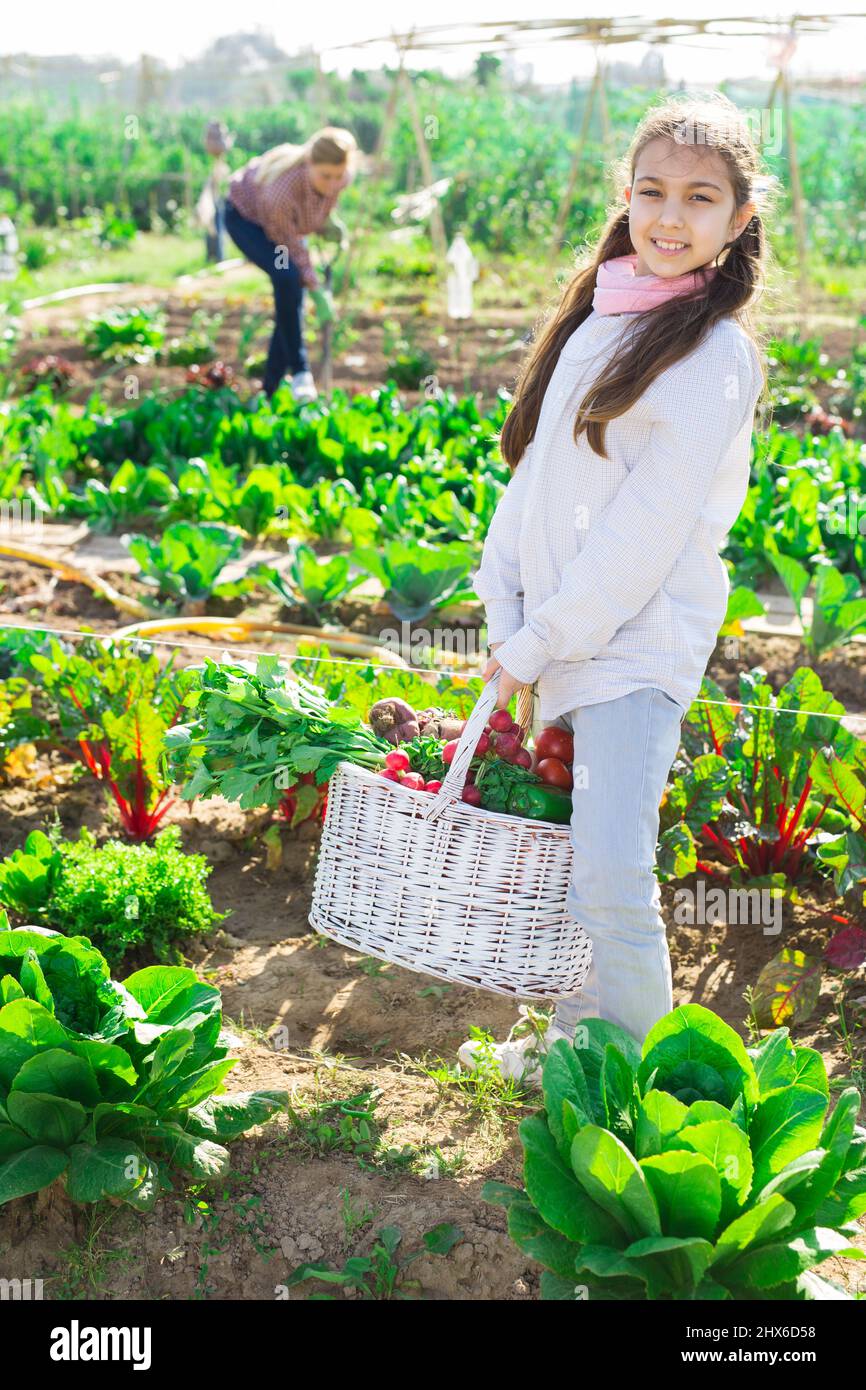 Portrait of a teenage girl with a basket of crops in the vegetable ...