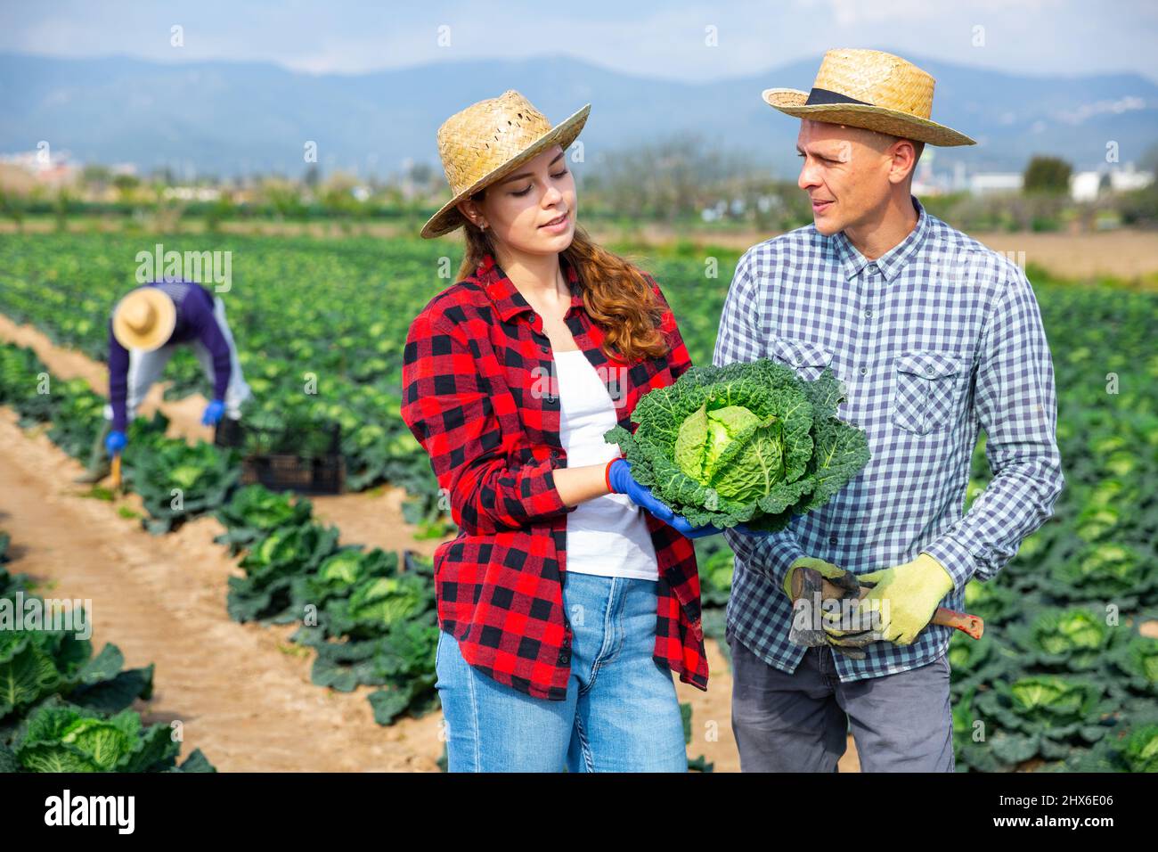 Two farmers talking among themselves during a break in work on field ...