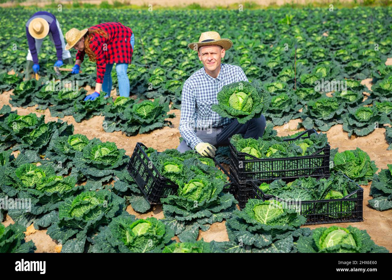 Young canadian farmer hi-res stock photography and images - Alamy