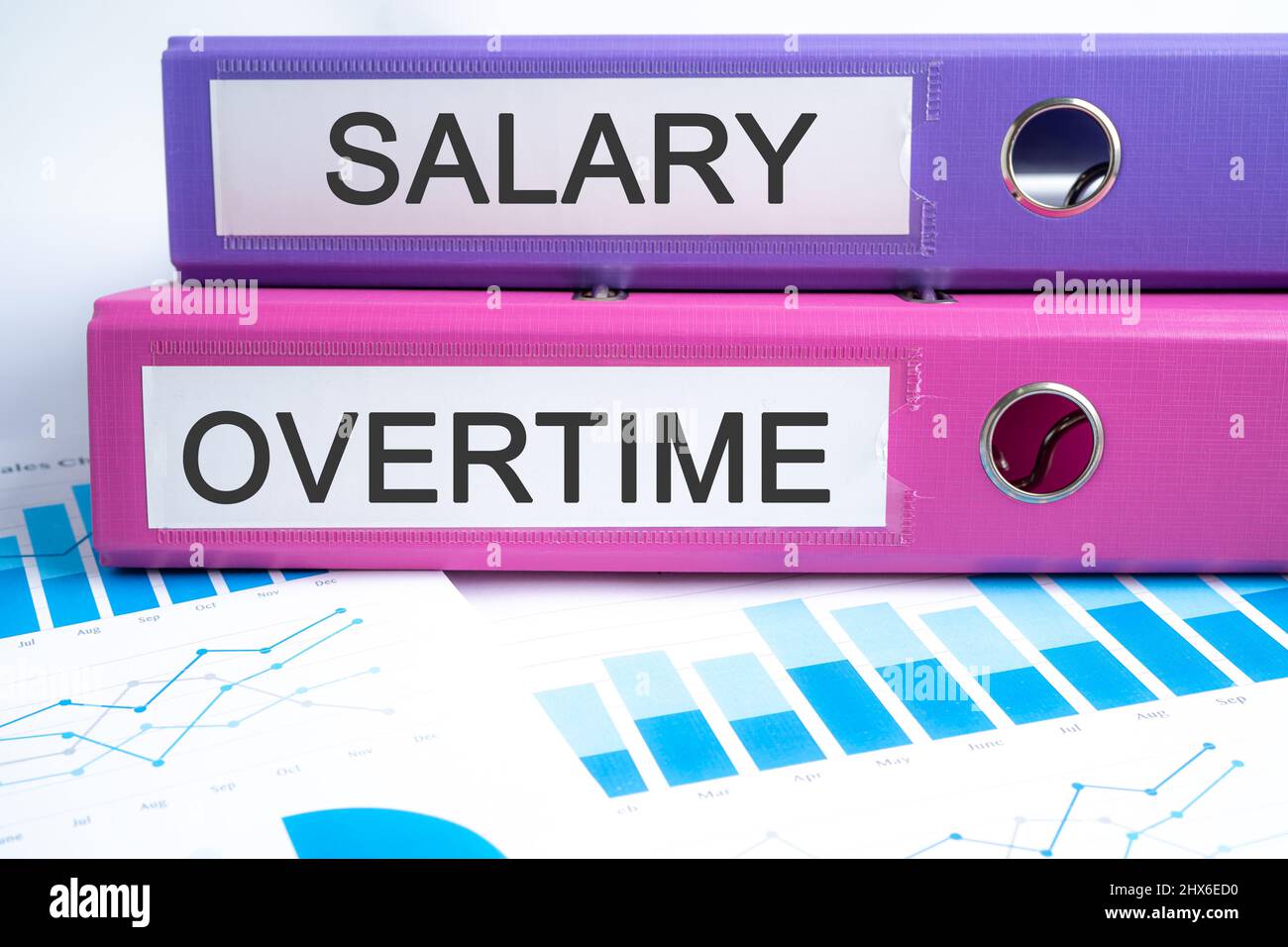 Salary, Overtime. Binder data finance report business with graph ...