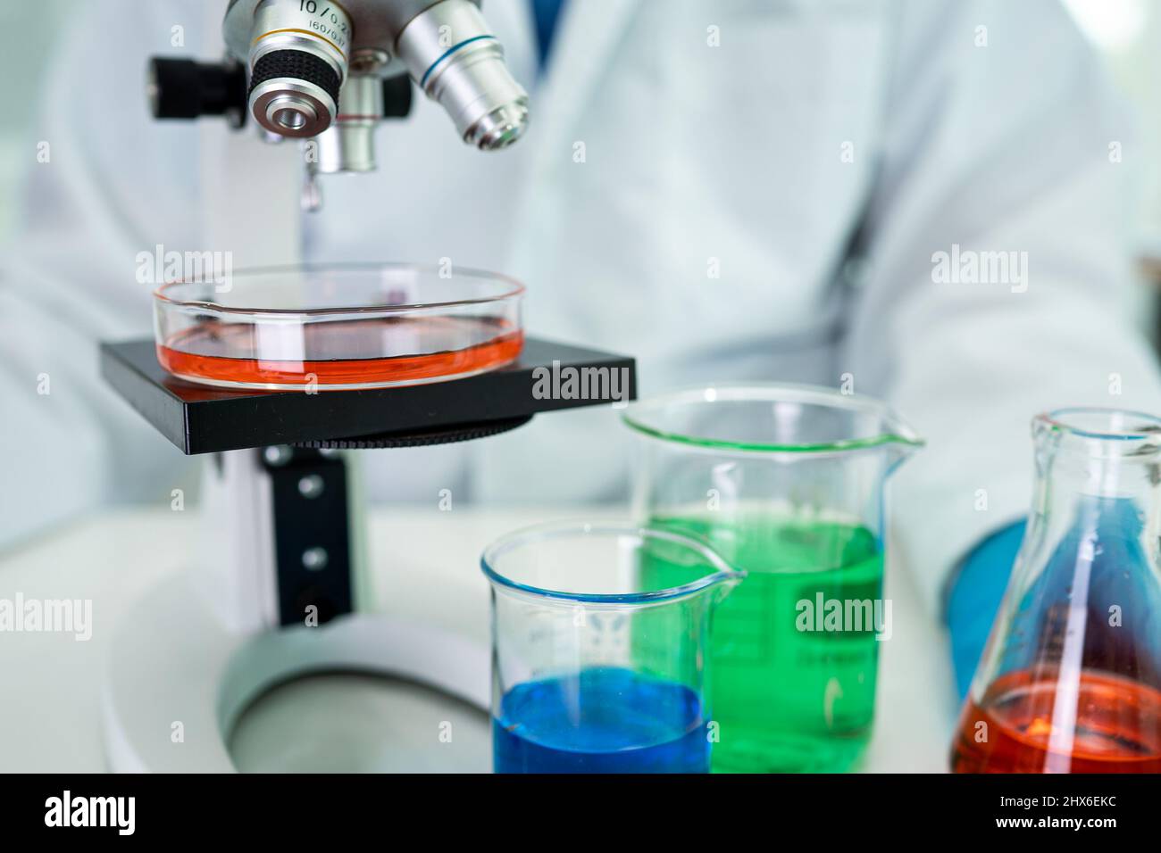 Asian scientist biochemist or microbiologist working research with a ...